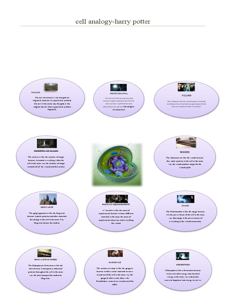 Cell Analog1 | PDF | Cell (Biology) | Magician (Fantasy)