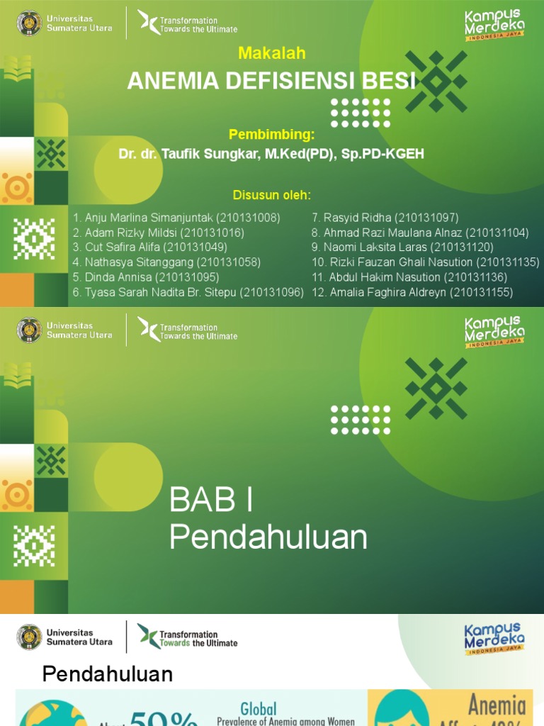 Anemia Defisiensi Besi | PDF