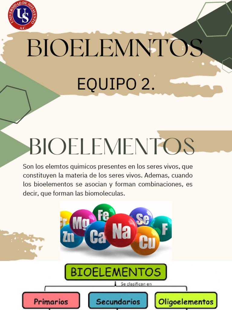 Bioelementos | PDF