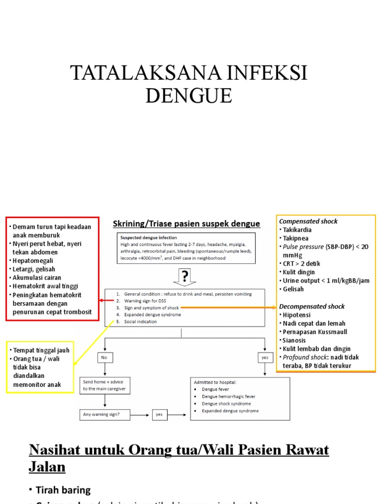 Tatalaksana Dengue | PDF