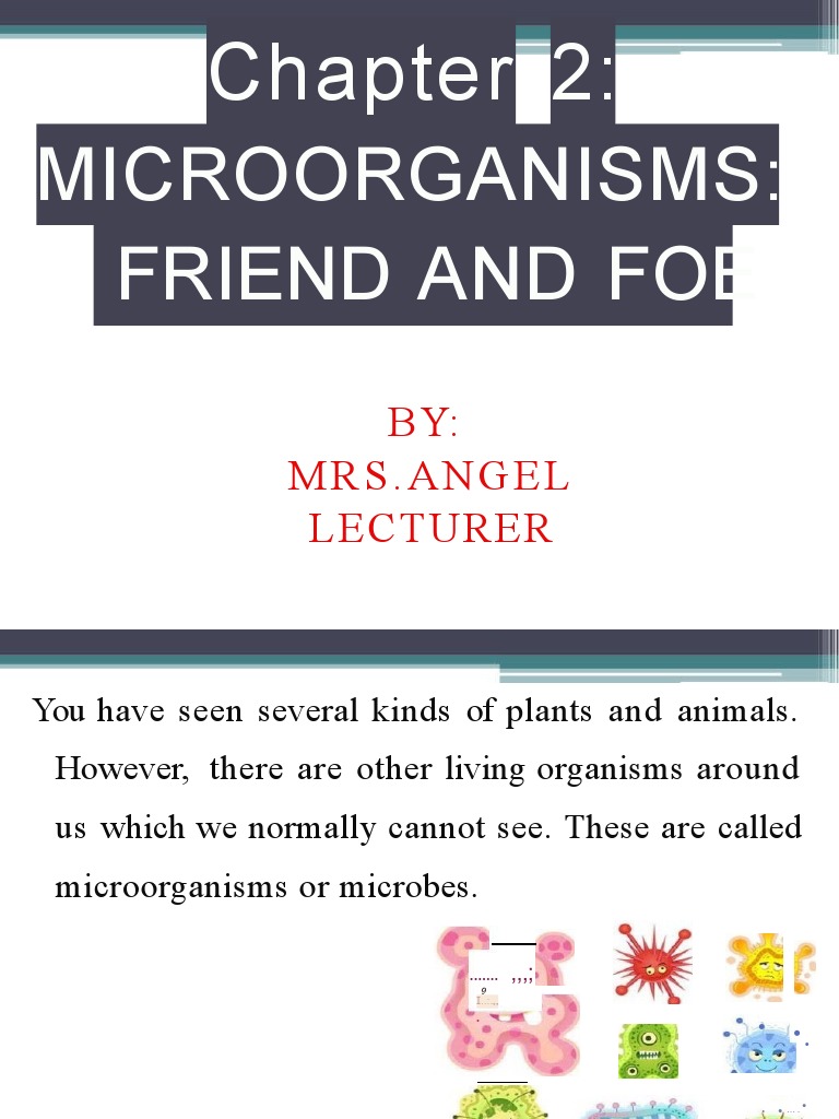 Class VIII Science Chapter 2 Microorganisms Friend and Foe | PDF ...