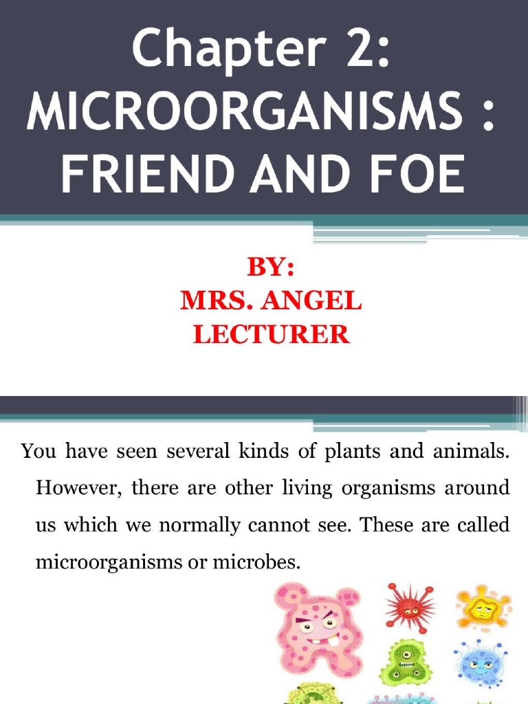 Class VIII Science Chapter 2 Microorganisms Friend and Foe | PDF