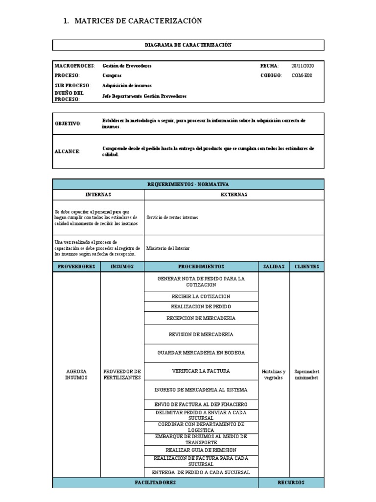 Matrices de Caracterización.1 | PDF | Marketing | Calidad (comercial)