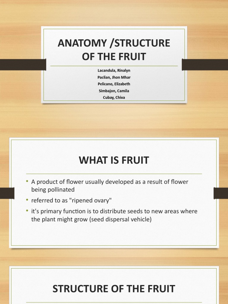 Fruit Anatomy and Classification Guide | PDF | Fruit | Agriculture