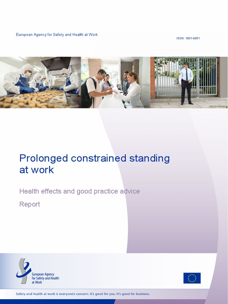 NR 17 - Prolonged Constrained Standing at Work | PDF | Occupational ...