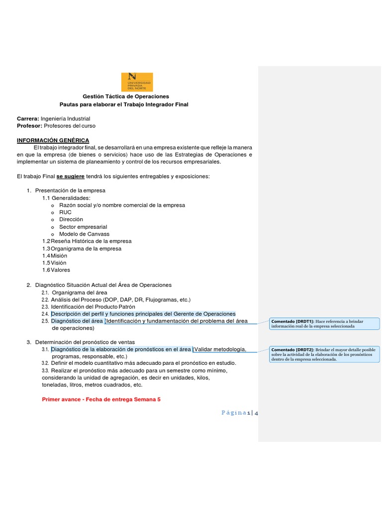 Pautas para Elaborar El Trabajo Grupal | PDF | Business | Planificación
