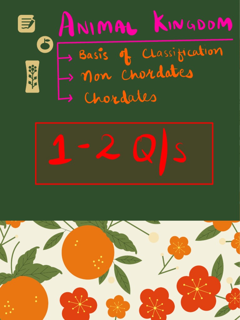 Animal Classification | PDF | Sponge | Organisms