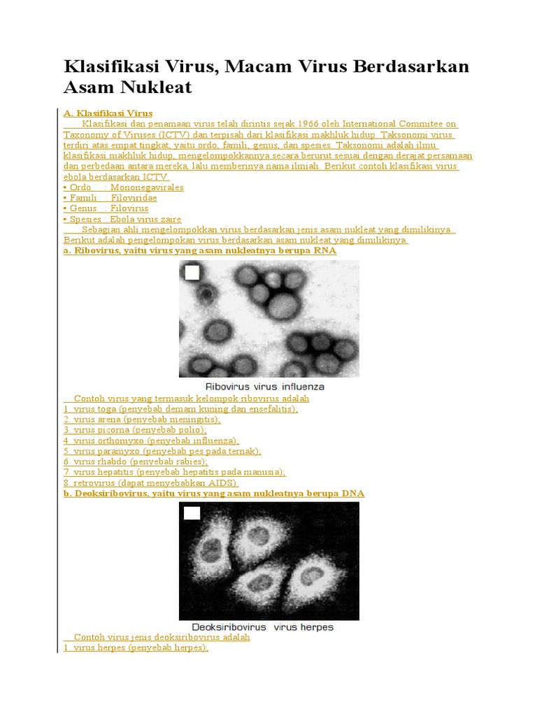Klasifikasi dan Jenis Virus Berdasarkan Asam Nukleat | PDF