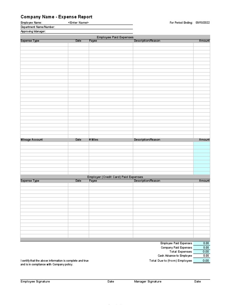 Expense Report Template | PDF | Credit Card | Cheque