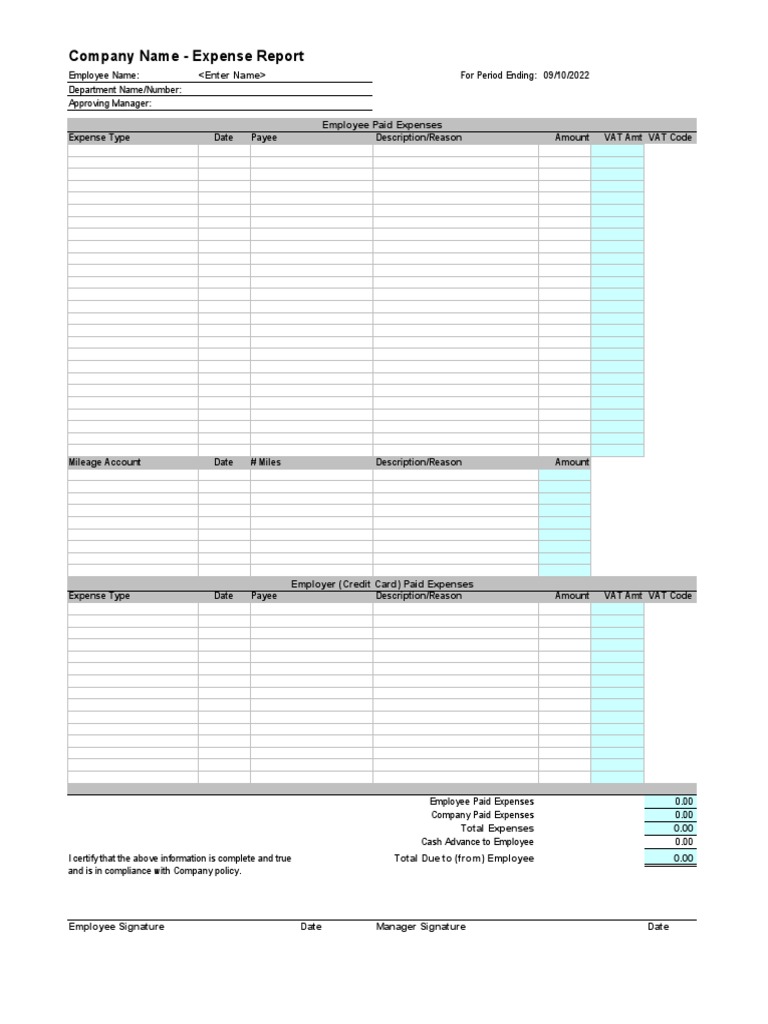 Template Expense Report - with VAT | PDF | Credit Card | Value Added Tax