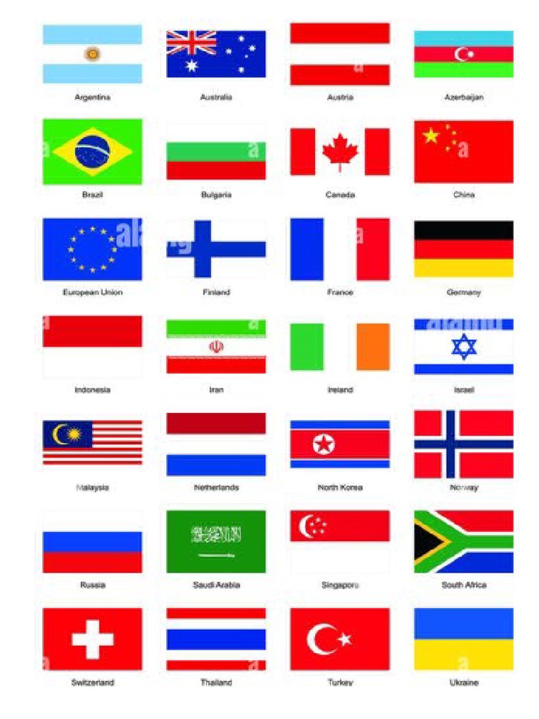 FLAGS | PDF