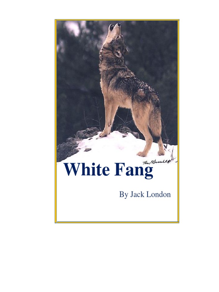 Graded Readers Free Book PDF White Fang by Jack London Retold by Brigit ...