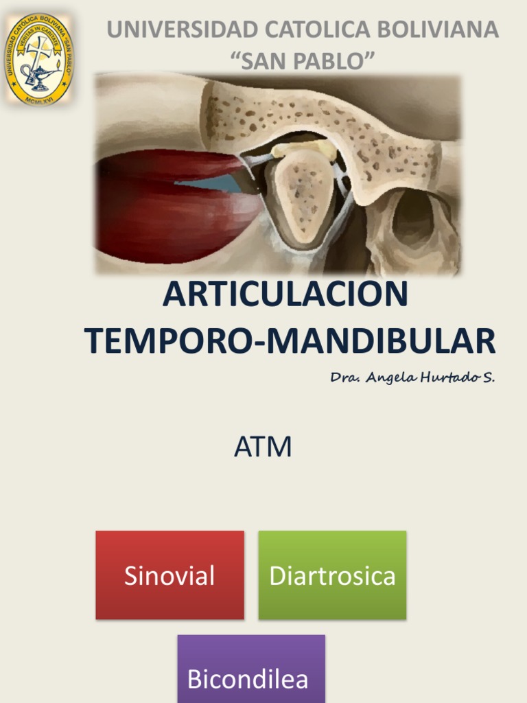 Atm | PDF | Articulación | Anatomía