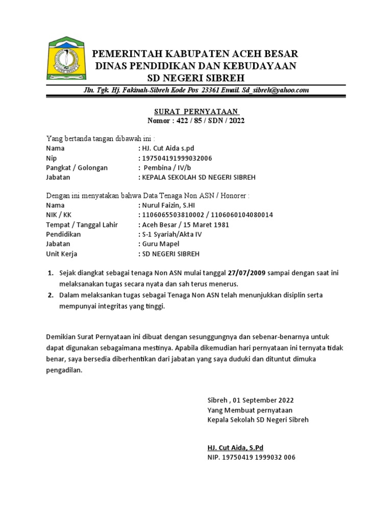 Surat Pernyataan Non Asn | PDF