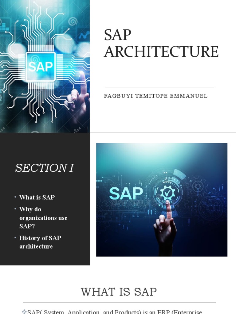 Sap Architecture (I) | PDF | Databases | Computing
