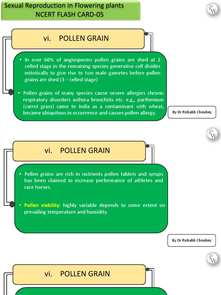 Sexual Reproduction in Flowering Plant Ncert Flash Card 05 | PDF