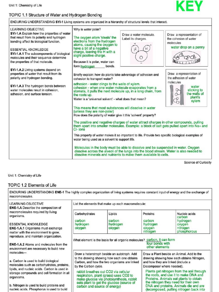 KEY AP Biology Unit 1 - Chemistry of Life | PDF