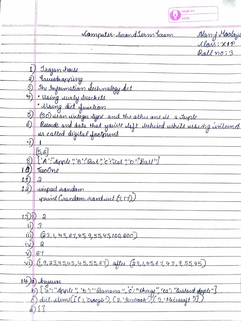 Computer Term 2 | PDF