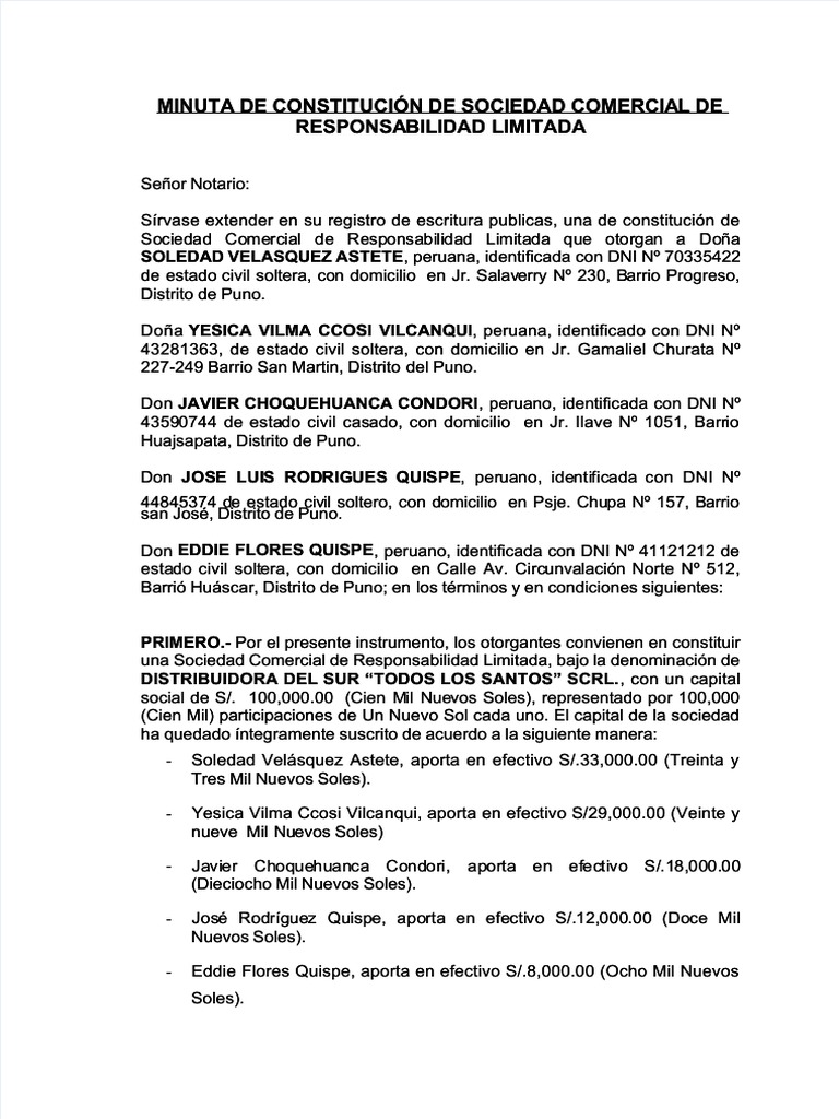 Minuta de Constitucion | PDF | Conceptos legales | Economias