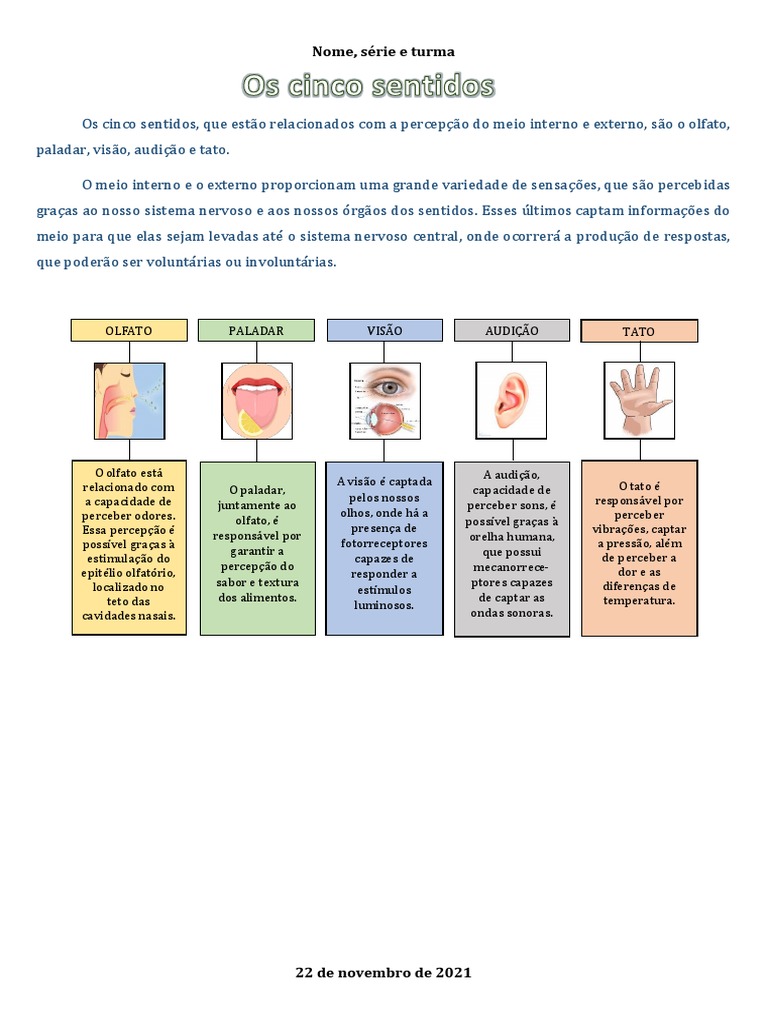 Os Cinco Sentidos | PDF | Anatomia | Processos mentais