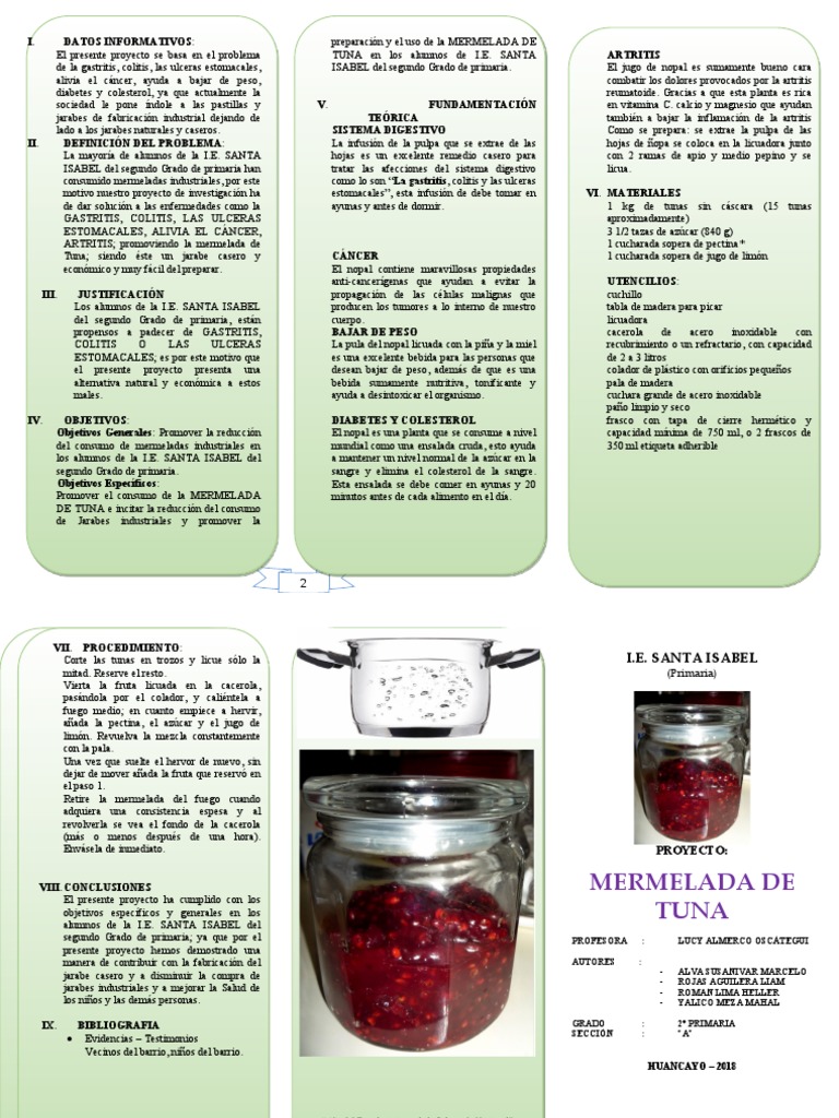 Triptico Mermelada | PDF