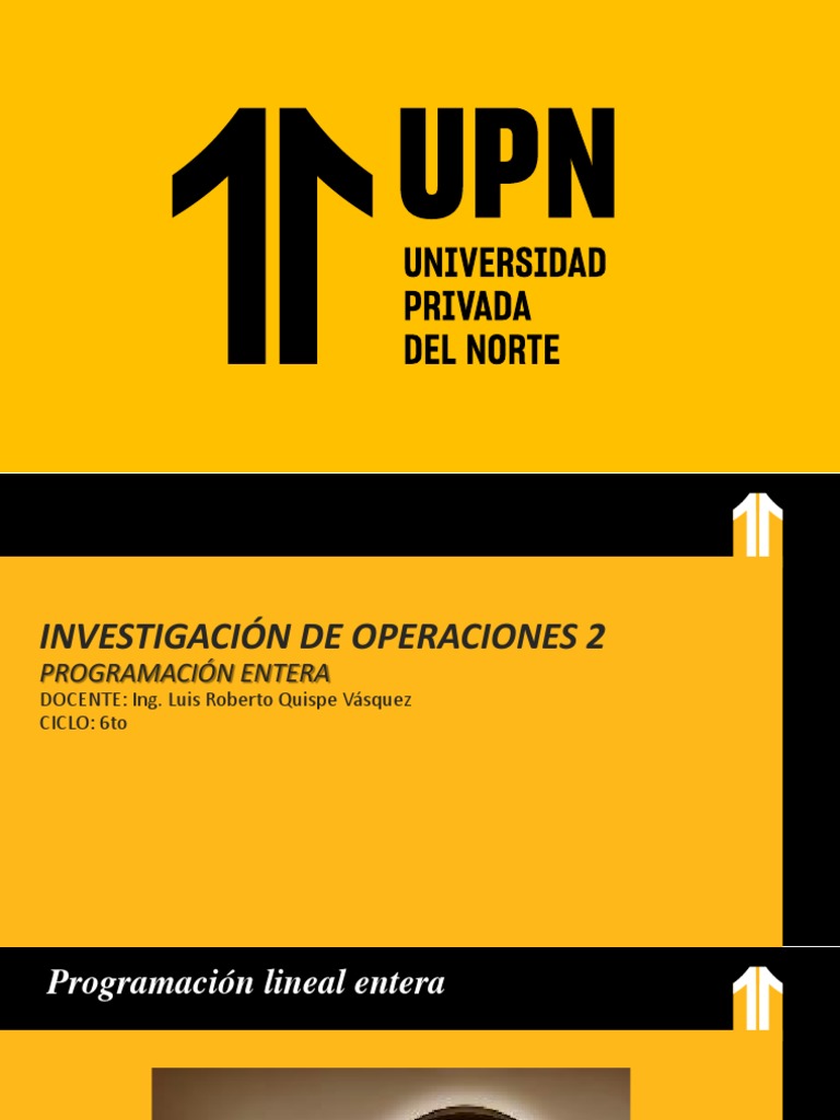 Maximizing Profits Through Linear Programming: Solving Problems of Integer Optimization | PDF ...