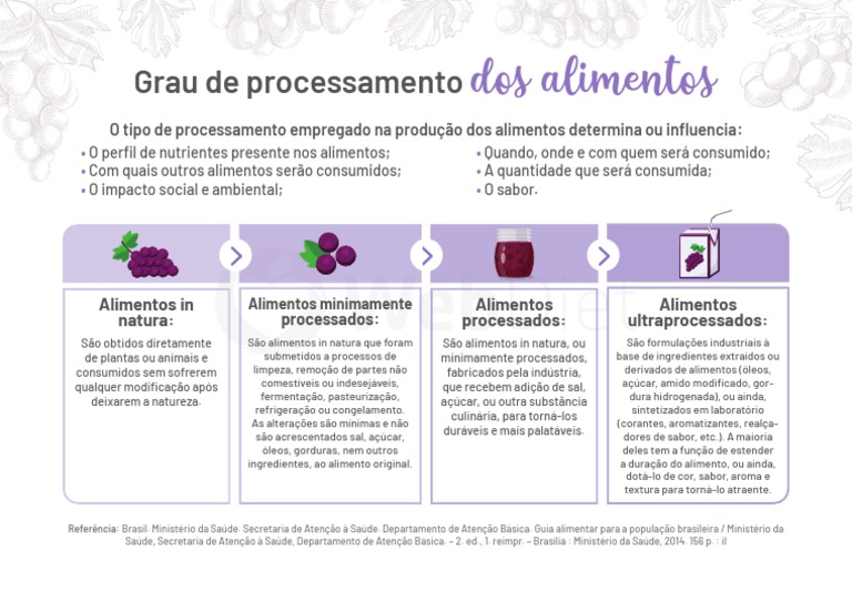 Guia de Processamento de Alimentos | PDF | Comidas e bebidas | Nutrição