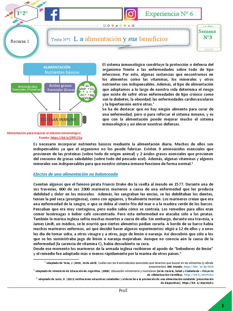 1ero-2do - Recurso 1 - Actividad 7 | PDF | Vitamina C | Sistema inmune