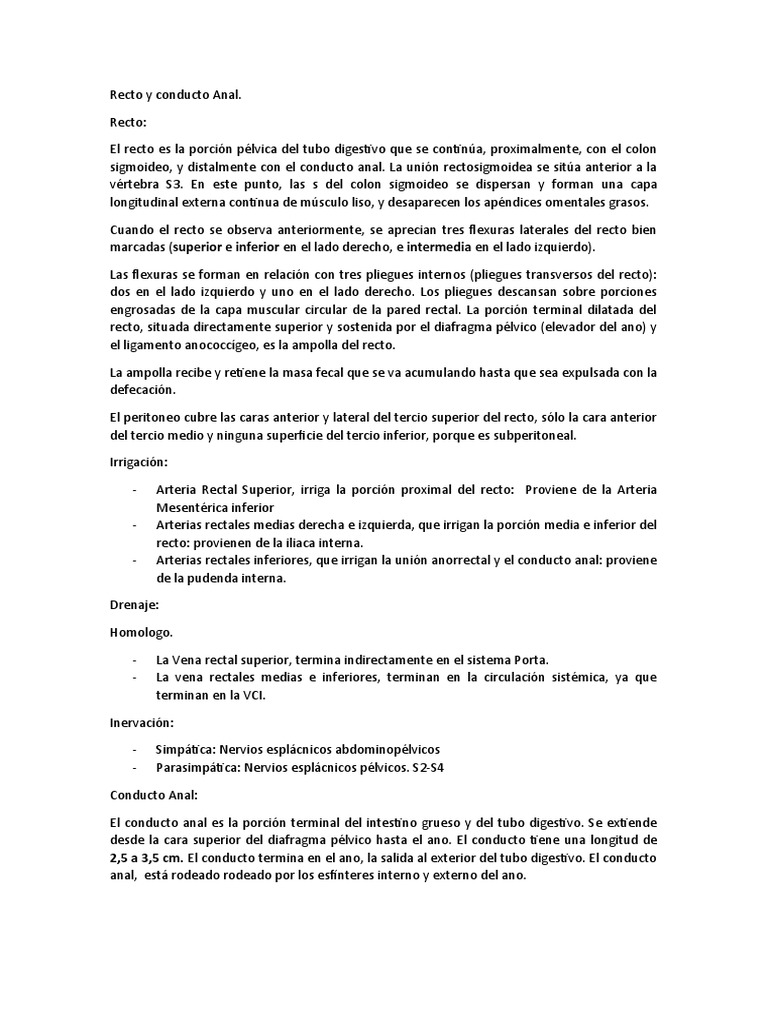Anatomía del Recto y Conducto Anal | PDF | Recto | Intestino grueso