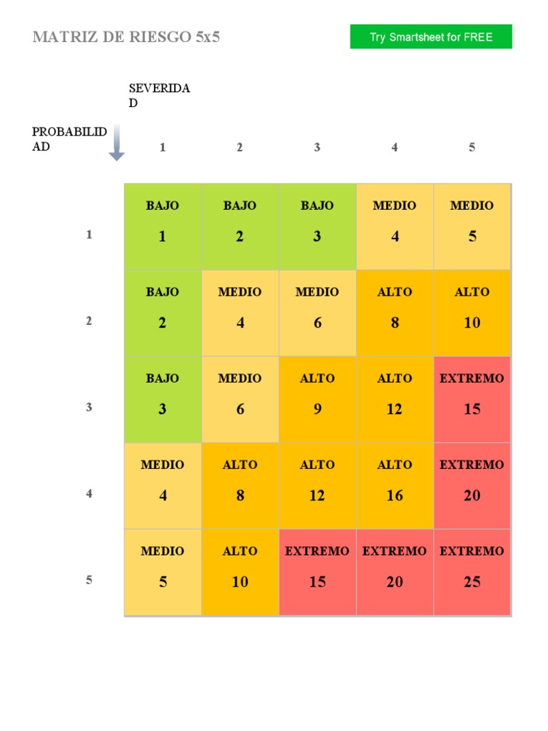 Matriz de Riesgo 5x5 en Excel | PDF
