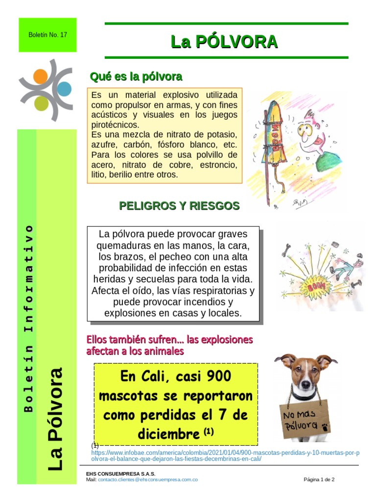 Boletin No. 18 La Polvora | PDF | Pólvora | Agua