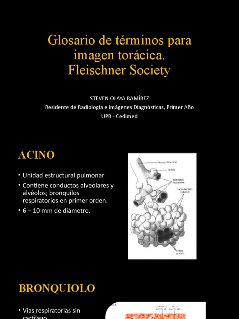 Fleischner STVN | PDF | Pulmón | Sistema respiratorio