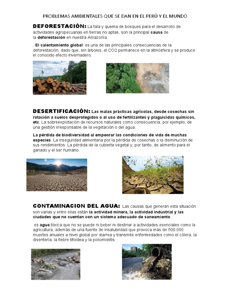 Problemas Ambientales Que Se Dan En El Perú Y El Mundo Pdf