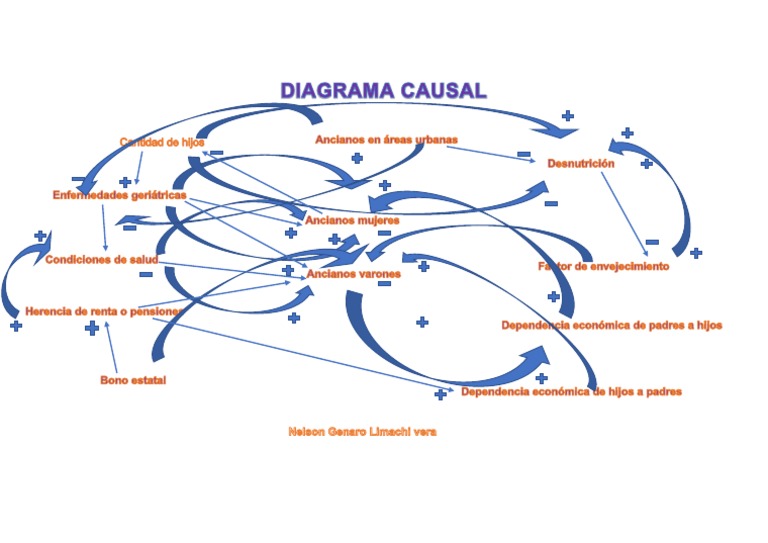 Diagrama Causal | PDF