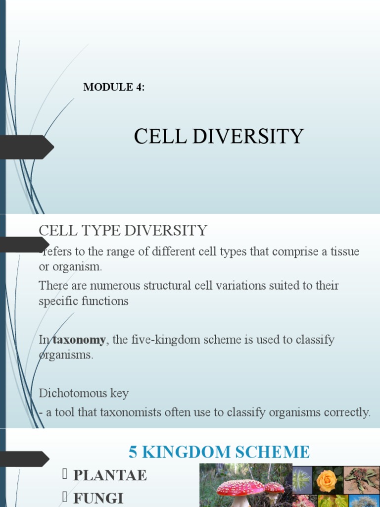 Cell Diversity | PDF | Cell (Biology) | Seed