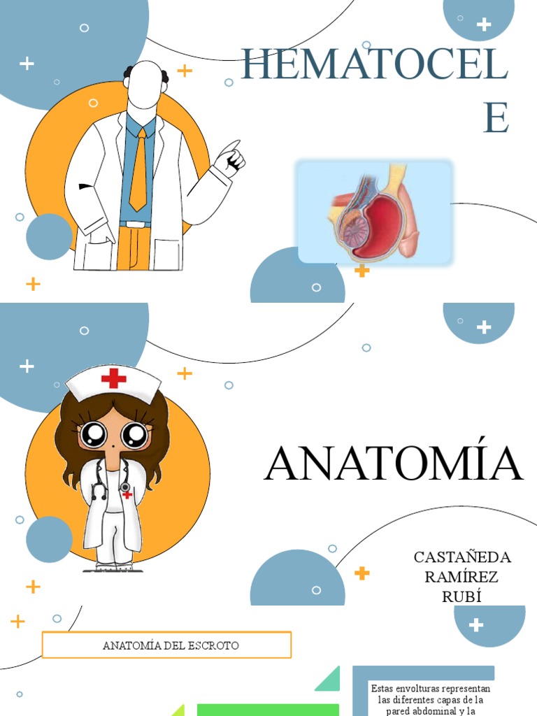 Hematocele: Causas y Tratamientos | PDF | Ciencias de la Salud | Causas ...