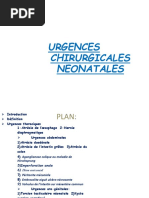 ERCF | PDF | Grossesse | Accouchement