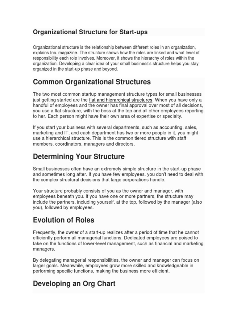 BUSINESS - Organizational Structure For Start-Ups | PDF ...