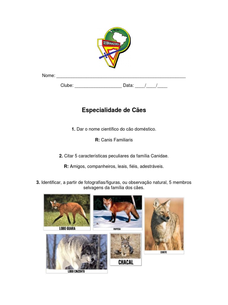 CÃES | PDF | Cães | Labrador retriever