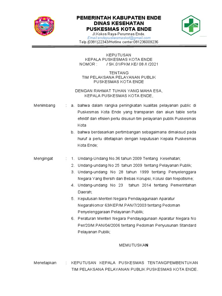 Sk Tim Pelaksana Pelayanan Publik Pdf