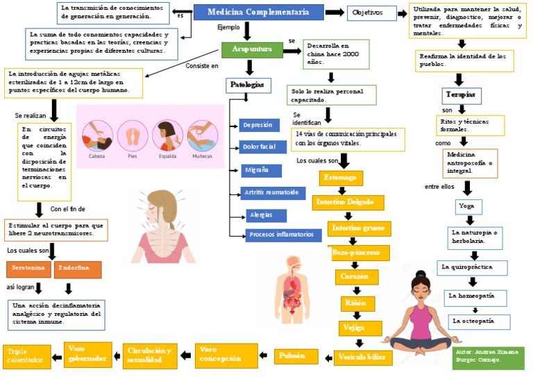 Mapa Conceptual de Medicina Completaria | PDF | Acupuntura | Medicina ...