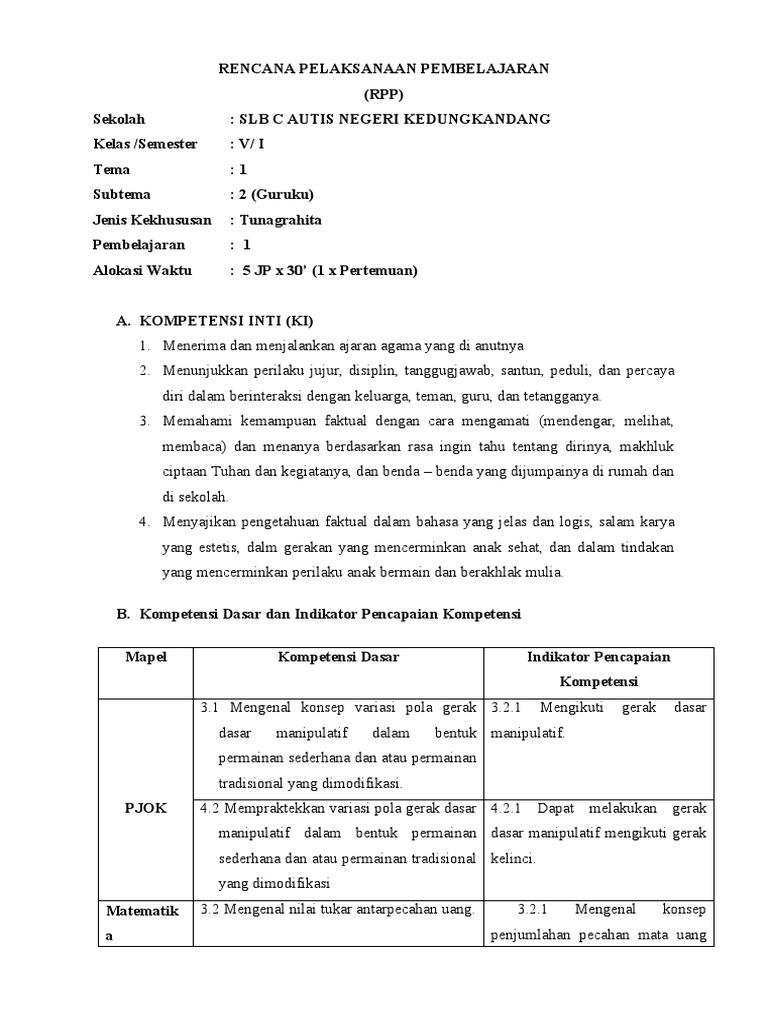 RPP Tunagrahita | PDF