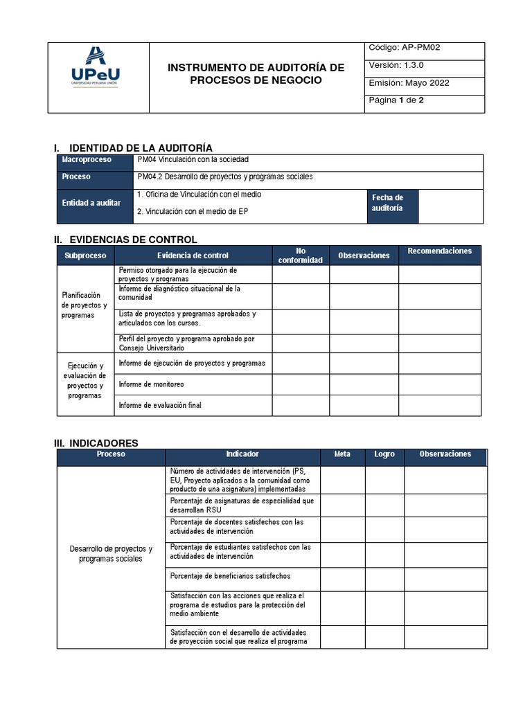 Instrumento de Auditoría | PDF | Auditoría | Business