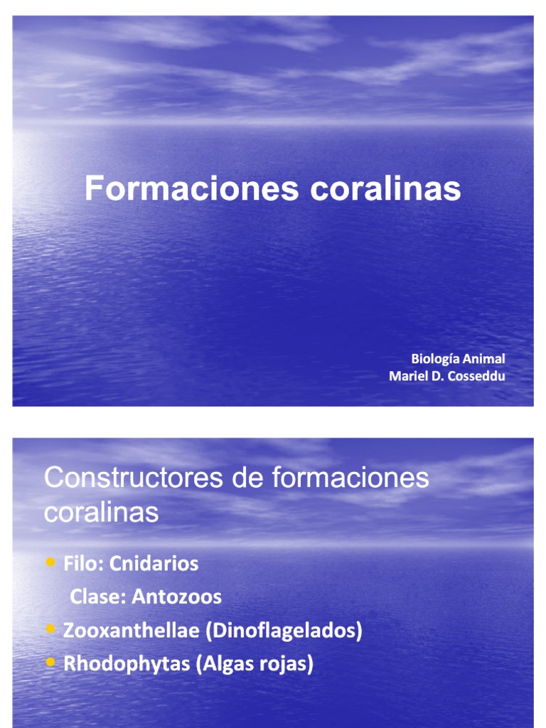 Formaciones Coralinas | PDF