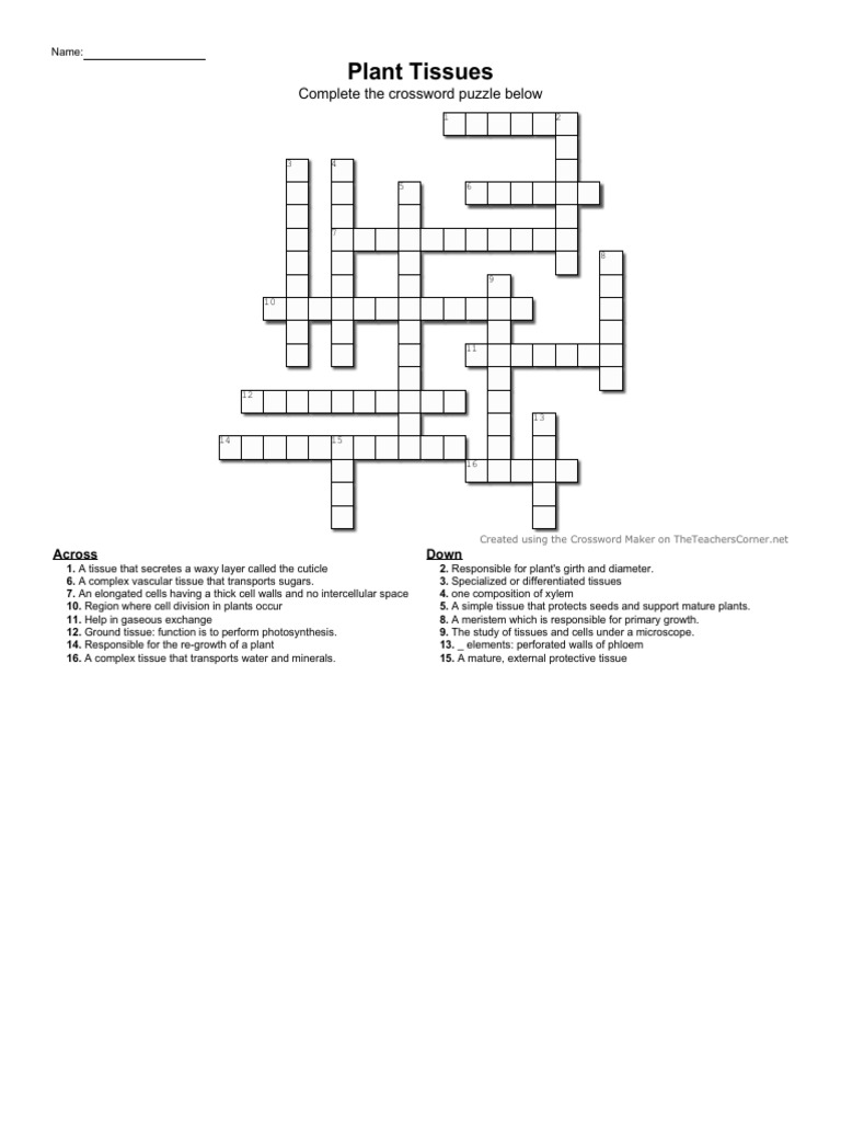 Plant Tissue Crossword Puzzle | PDF