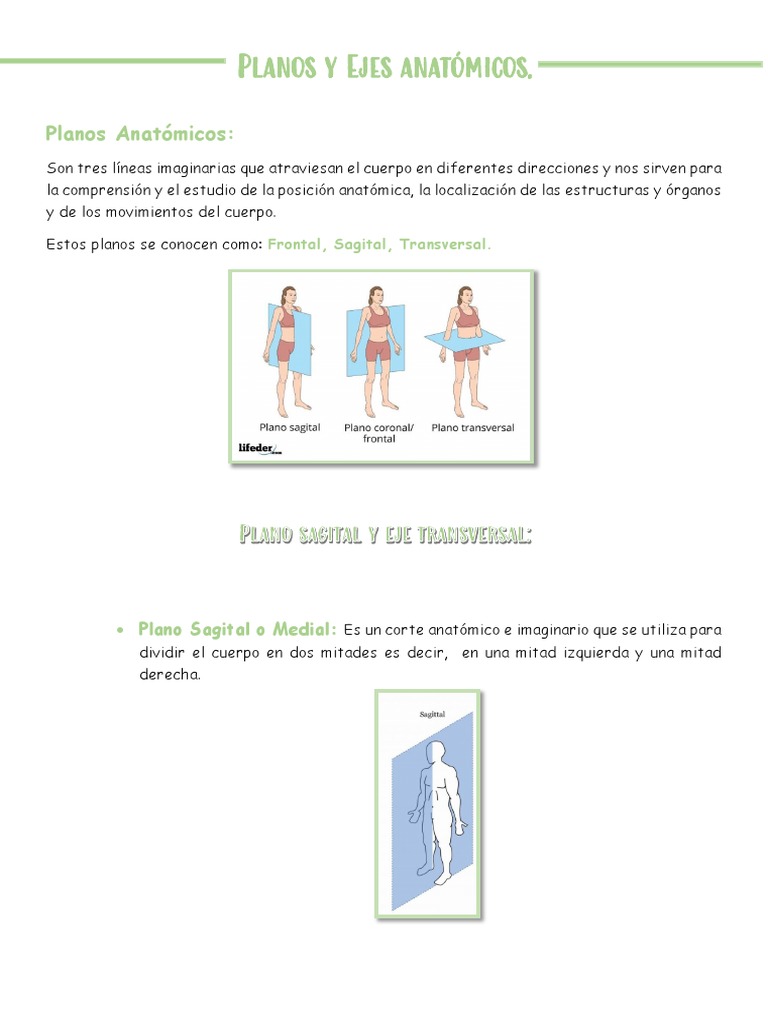 Planos y Ejes Anatómicos | PDF