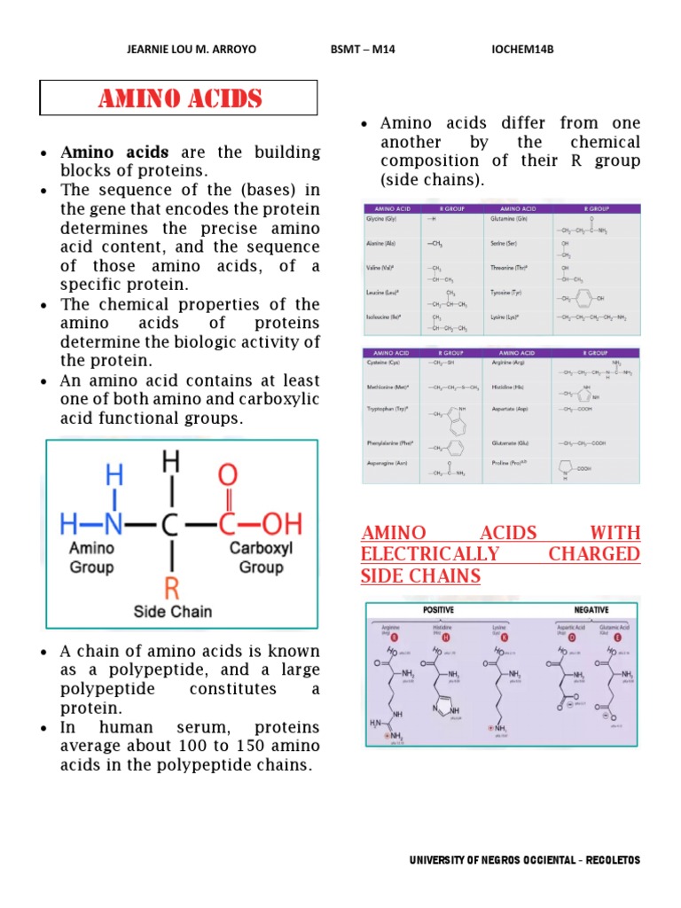 An Overview of Amino Acids: Their Structures, Properties, and ...