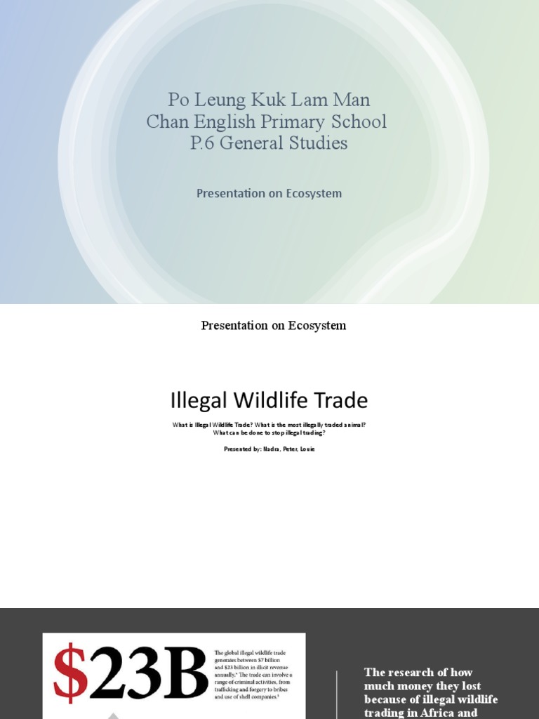 Po Leung Kuk Lam Man Chan English Primary | PDF