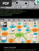 Mapa Conceptual de Los Componentes Del SIM. | PDF