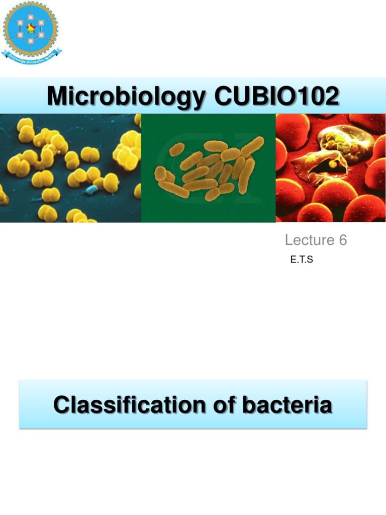 CUBIO102 Lecture 6-Classification of Bacteria-1-40 | PDF | Bacteria ...